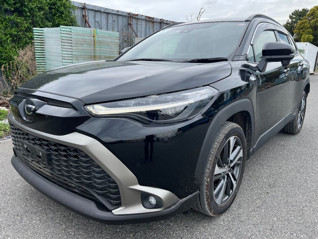 大門 Daimon (株式会社大門｜Daimon Co., Ltd.)